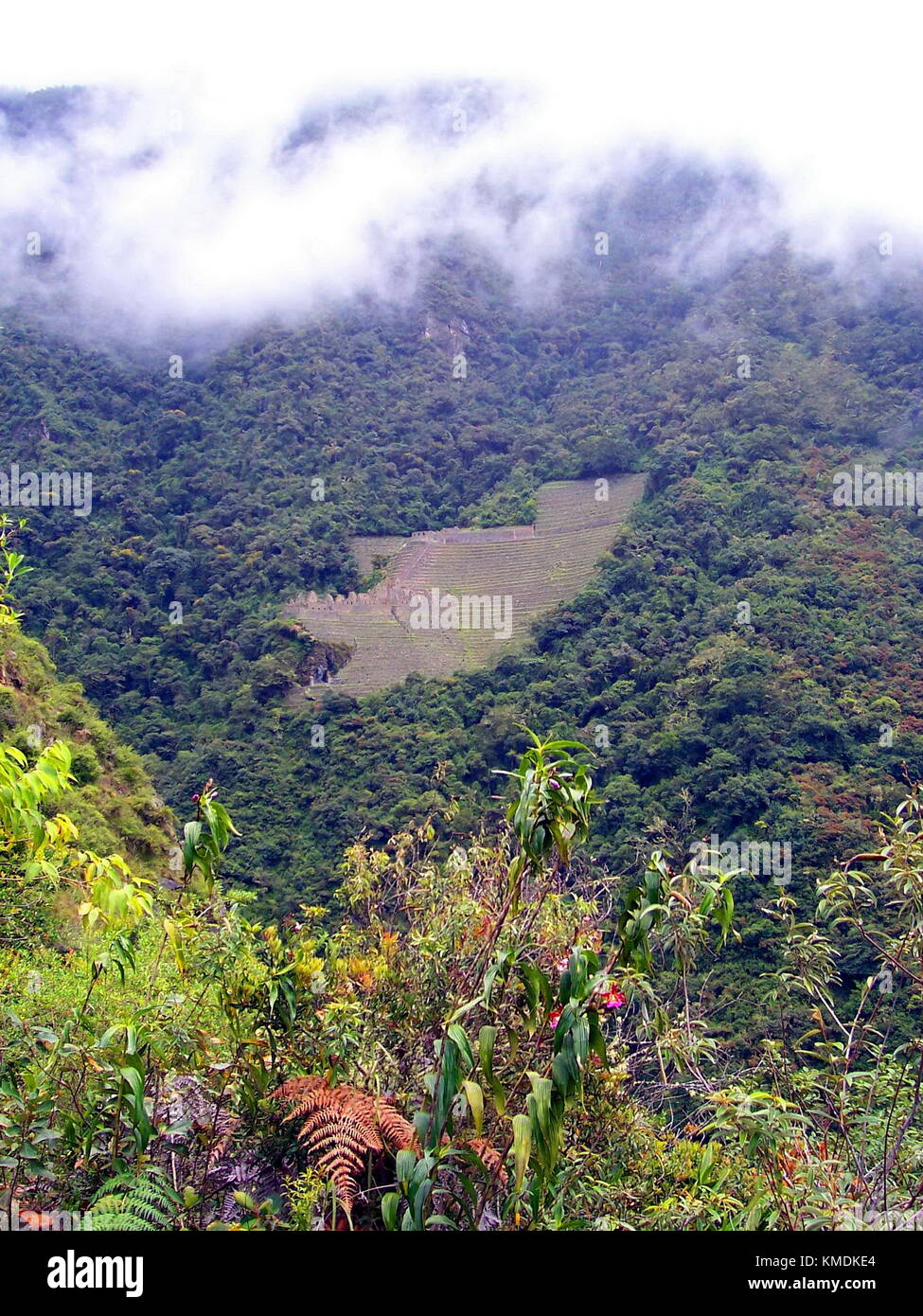 Ruins of Winay Wayna on the Royal Inca Trail, Peru Stock Photo - Alamy