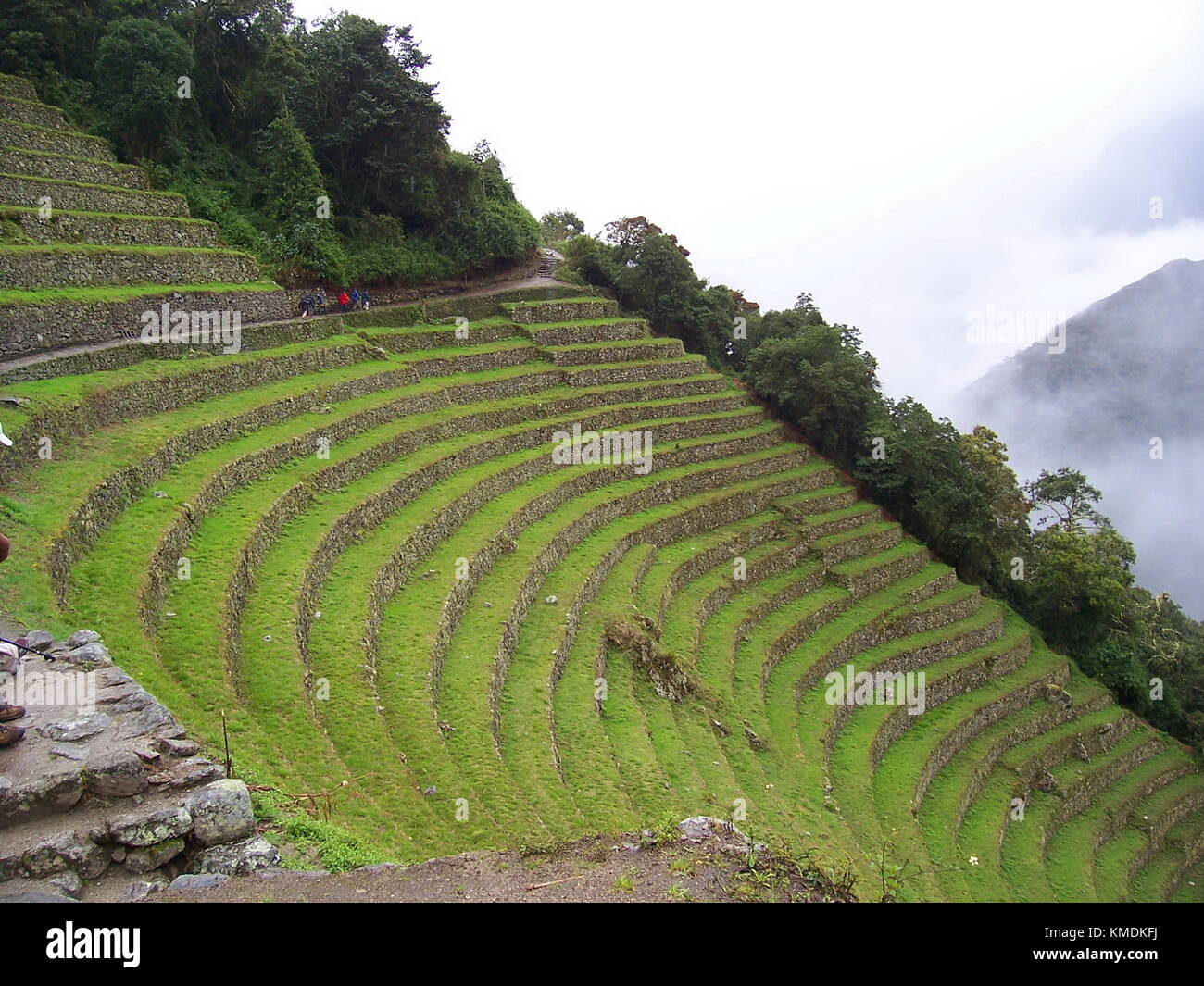 Ruins of Winay Wayna on the Royal Inca Trail, Peru Stock Photo - Alamy
