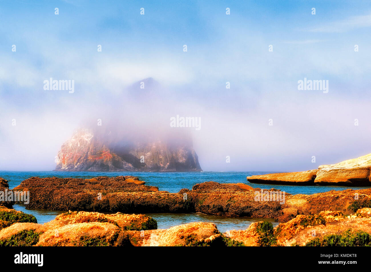 Fog surrounds most of Haystack Rock in the background and intertidal ...