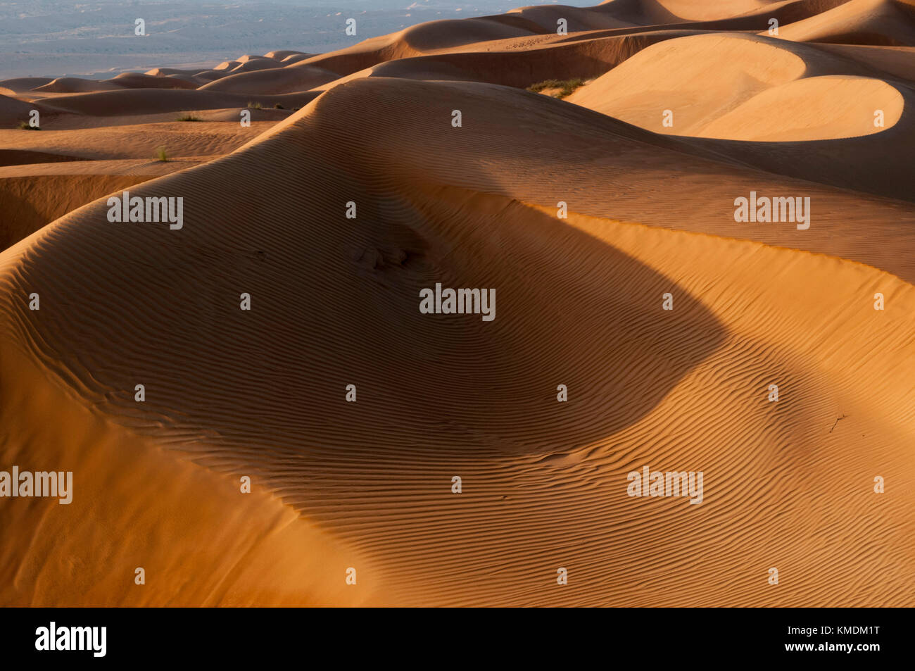 Wahiba Sands desert, Oman Stock Photo - Alamy