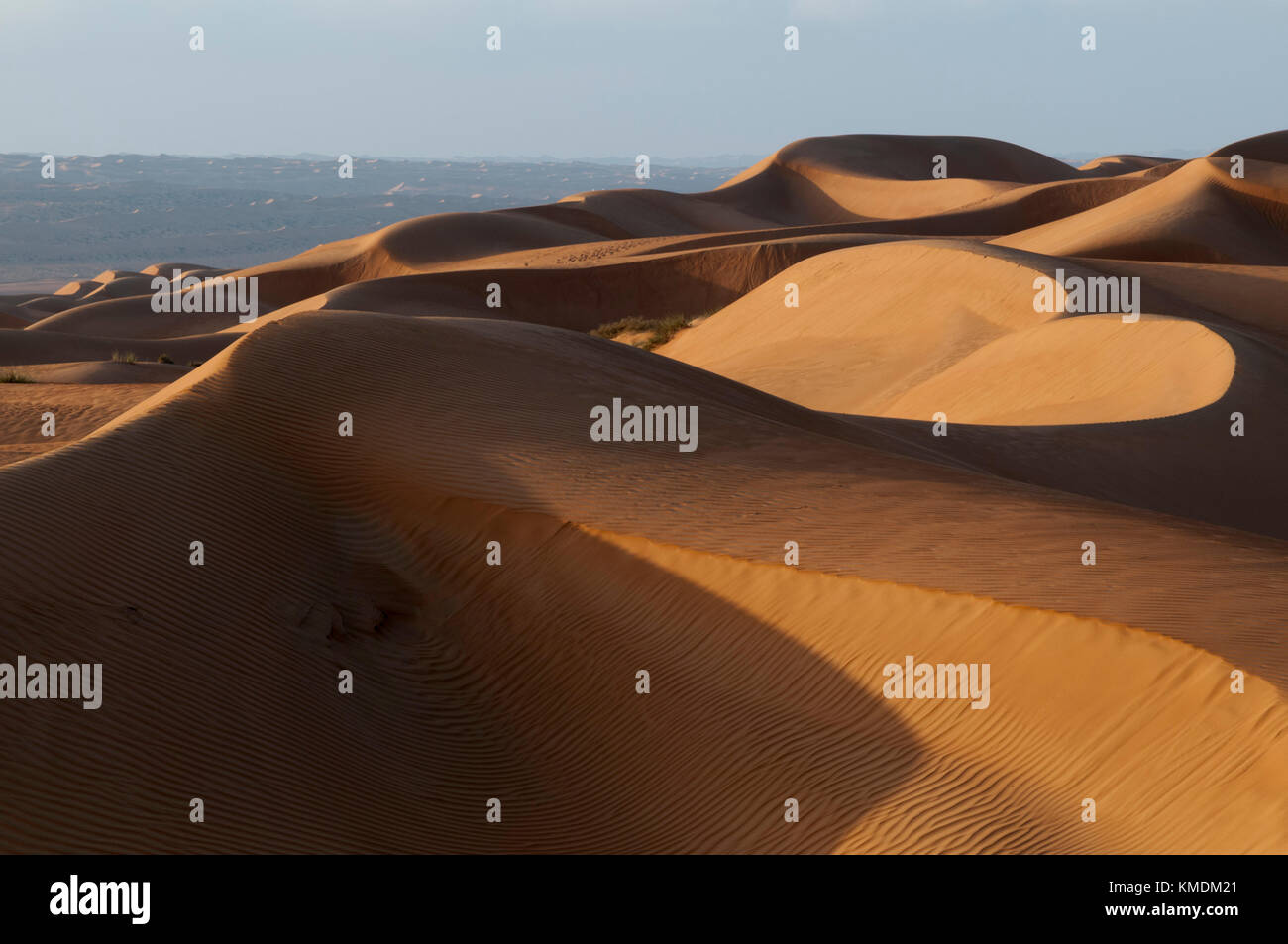 Wahiba Sands desert, Oman Stock Photo - Alamy