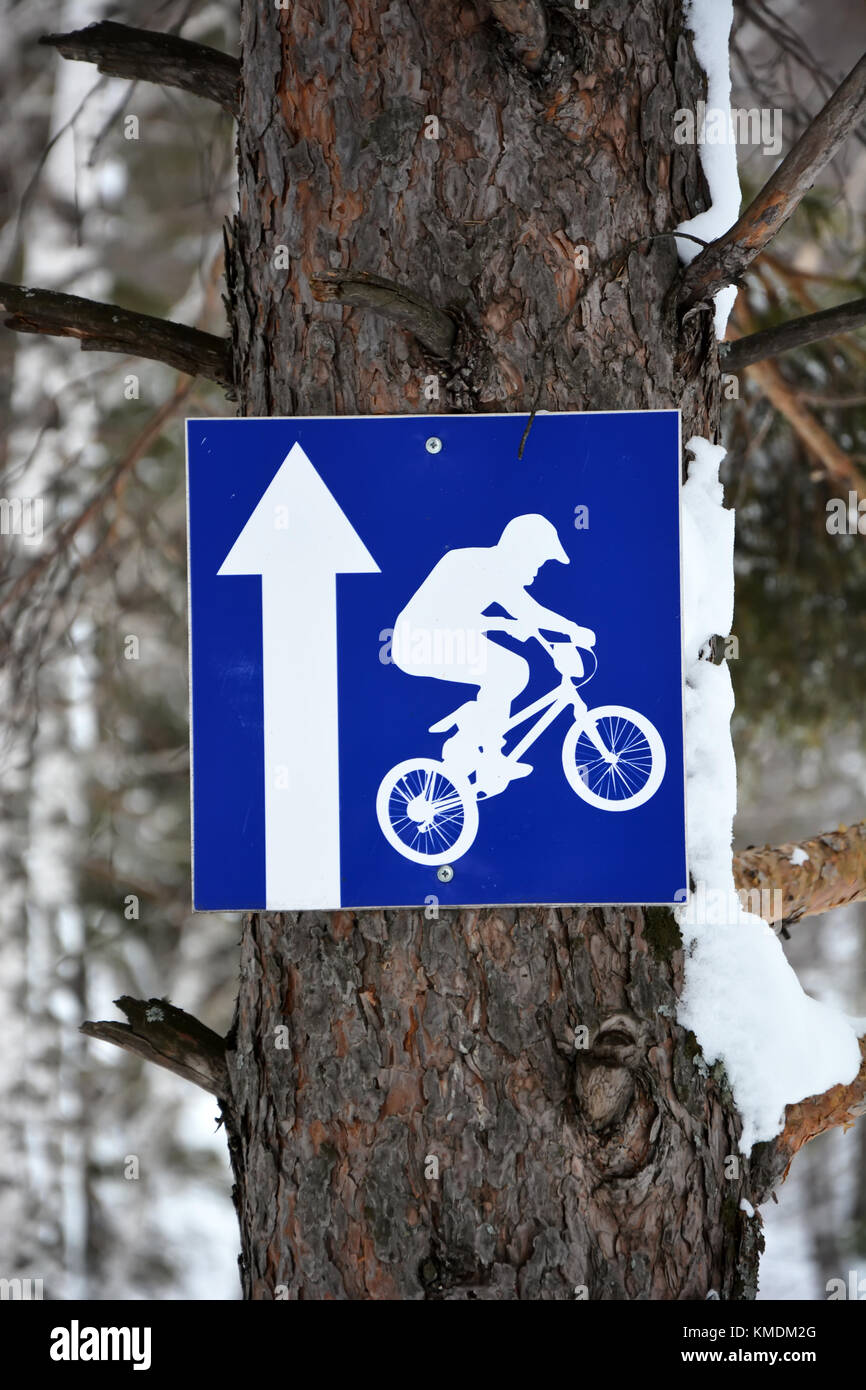 Mountain bike symbol on the tree trunk Stock Photo - Alamy