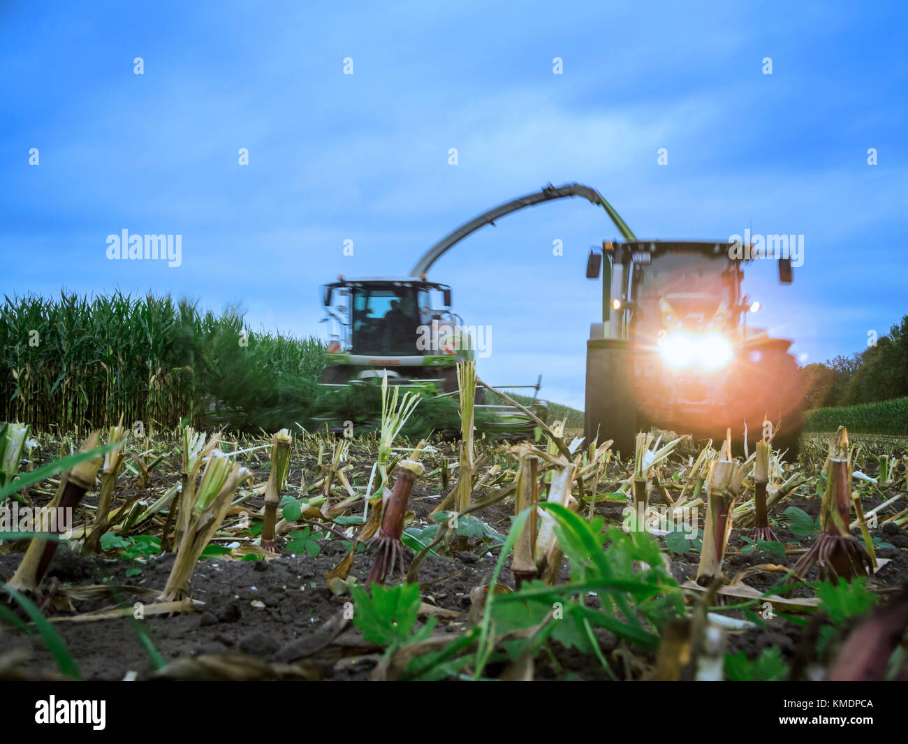 Harvester in operation High Resolution Stock Photography and Images - Alamy