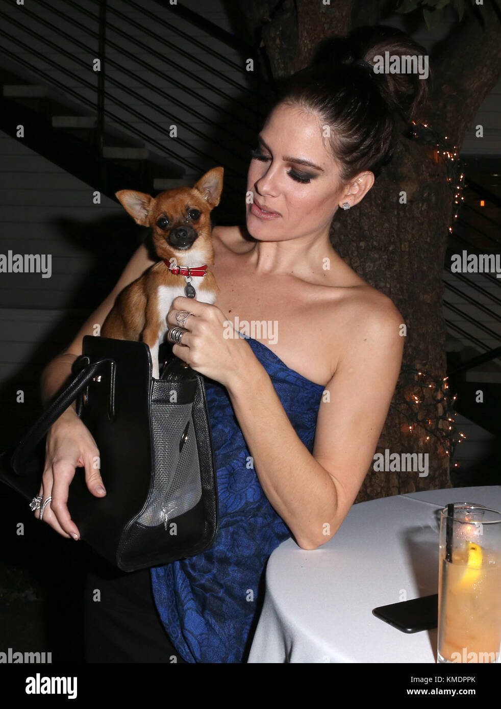 The 2017 Fluffball Gala, benefiting Forgotten Horses Rescue, held at ...