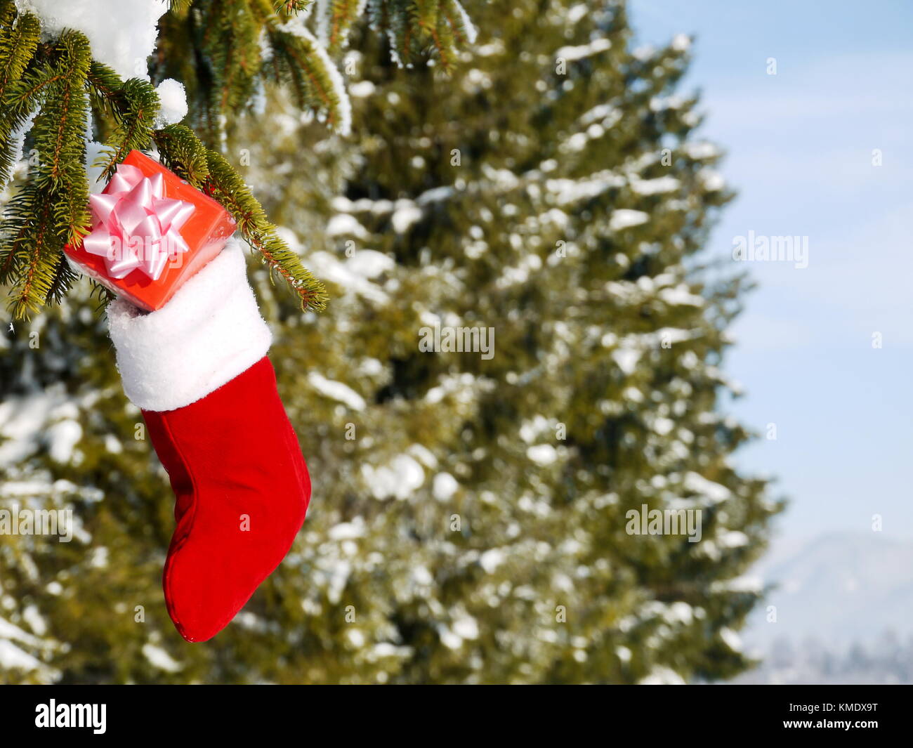 Sock tree hi-res stock photography and images - Alamy