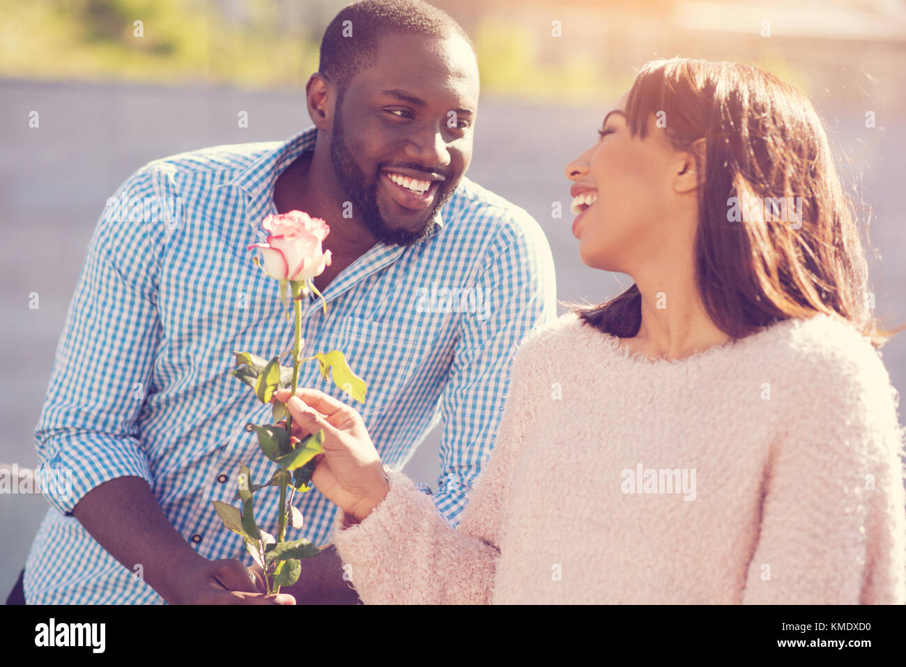 Delighted nice woman taking a rose Stock Photo - Alamy