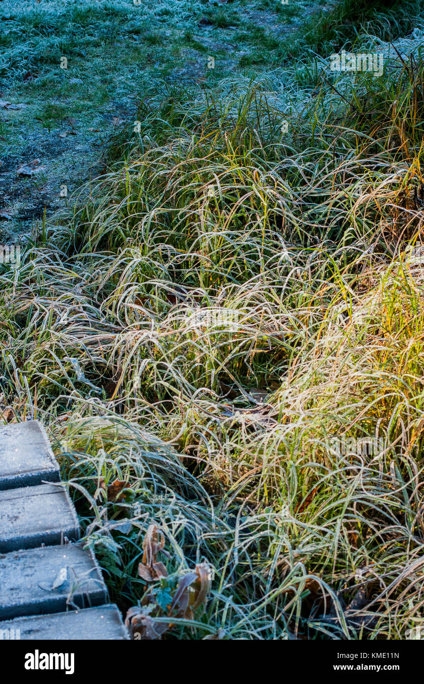Bench near river hi-res stock photography and images - Alamy