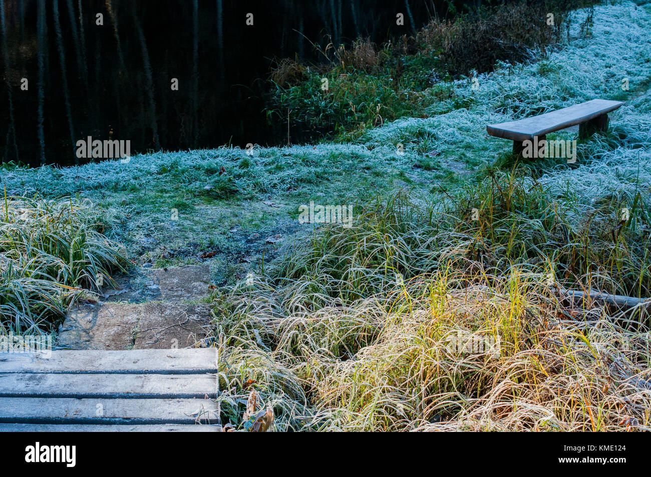 Path to the river. Bench near to the shore. Warm light and cool shadows ...