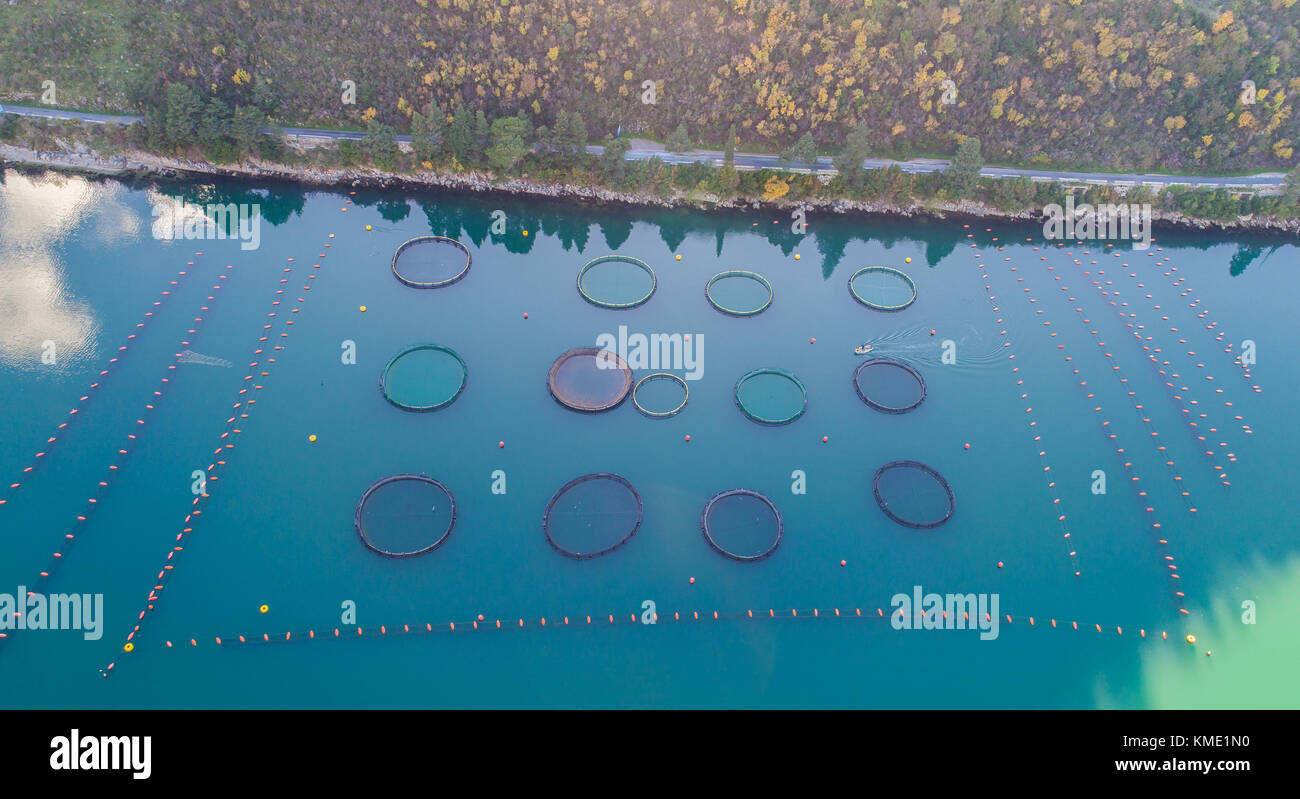 Cages for fish farming a Stock Photo - Alamy