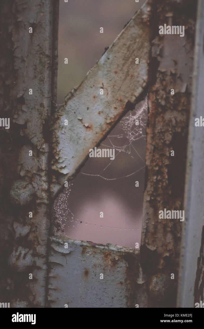 Rusty metal with spider webs Stock Photo - Alamy