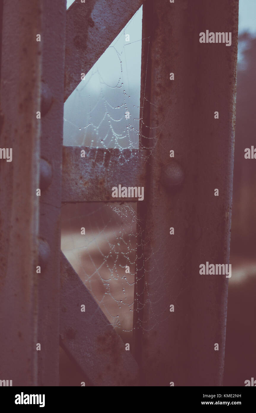 Spider web. Metal bridge constructions Stock Photo - Alamy