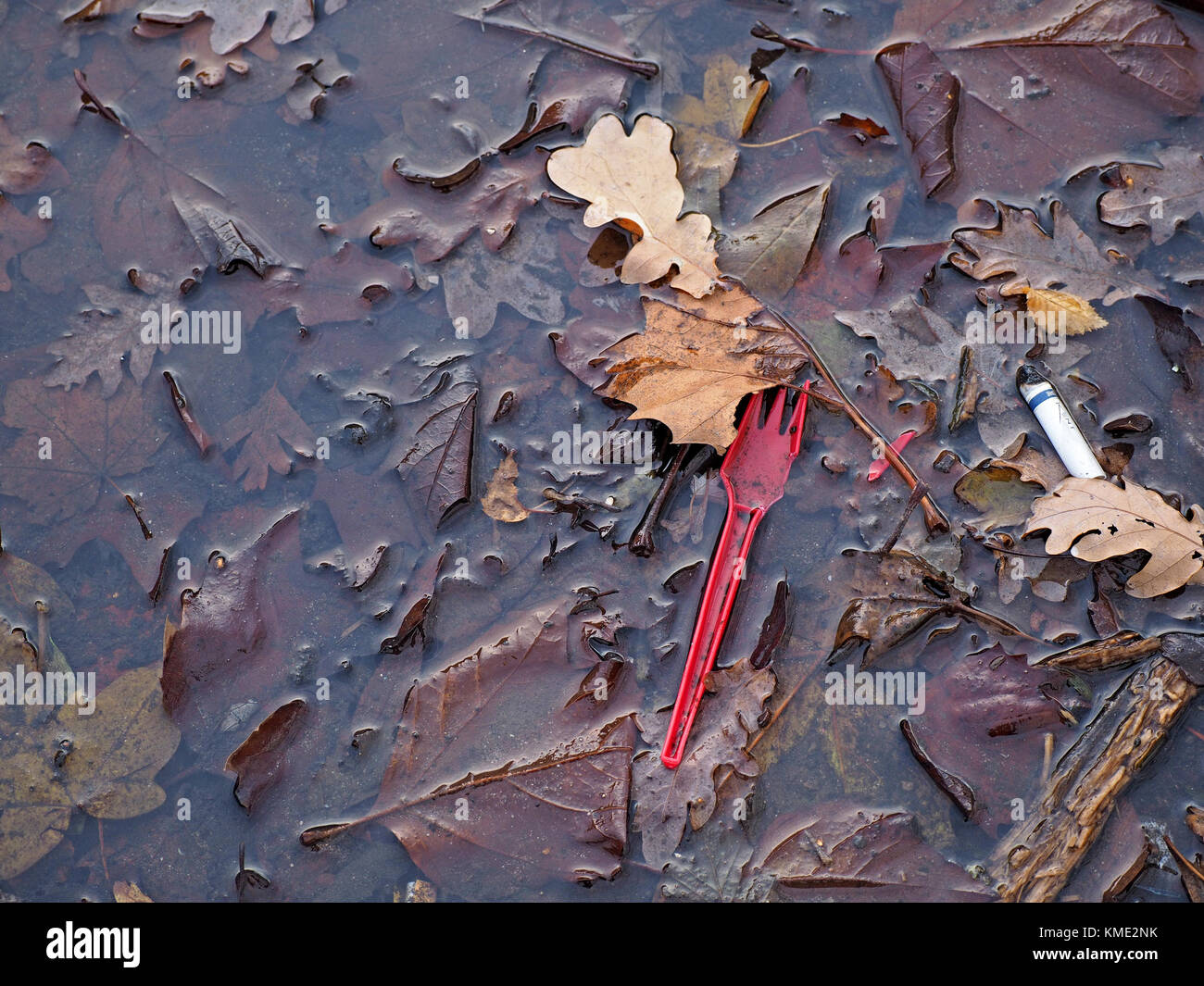 Plastic spoon and cigarette butt in a puddle full of biodegradable ...