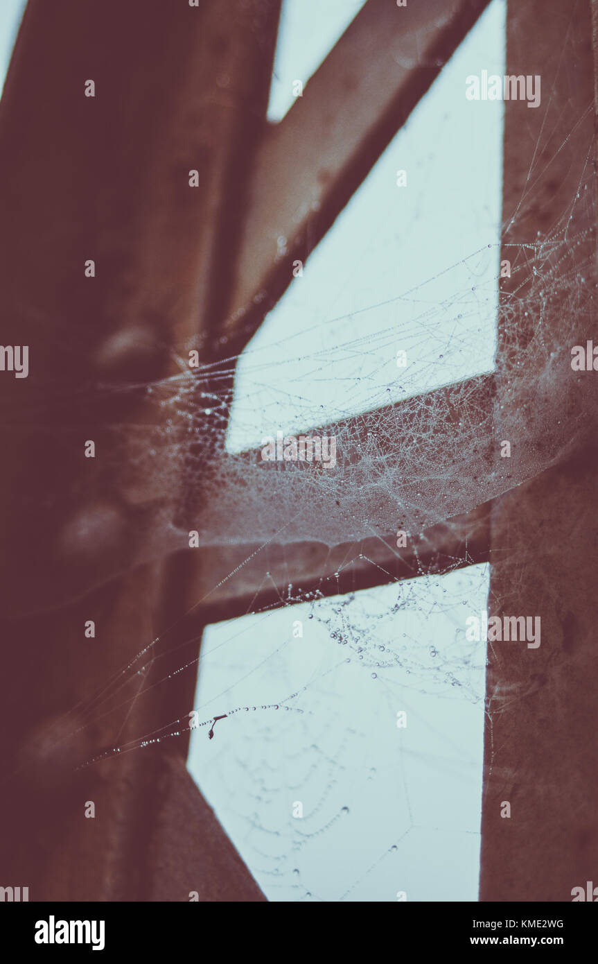 Asymmetric spider-web. Water drops Stock Photo - Alamy