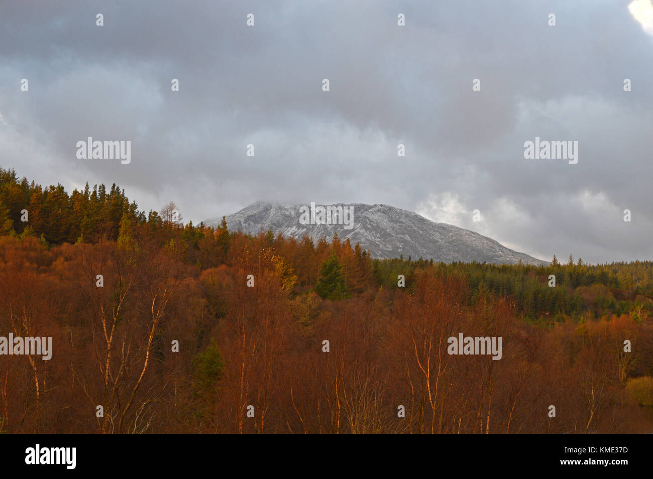 Llyn Elsi Betws Y Coed Stock Photo - Alamy