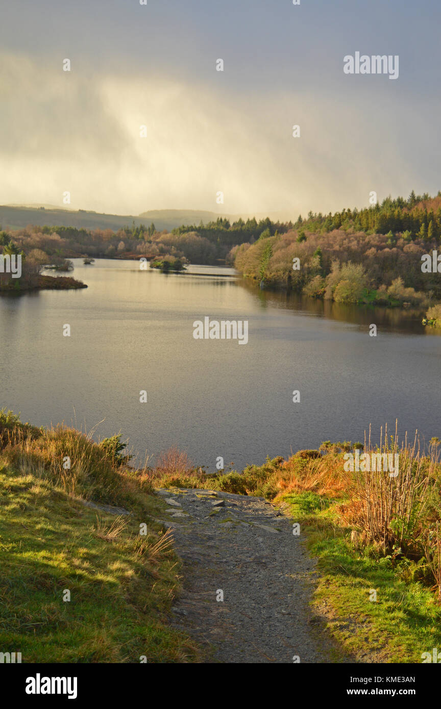 Betws y coed woodland walk hi-res stock photography and images - Alamy