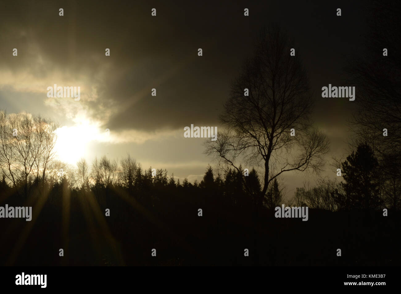 Llyn Elsi Betws Y Coed Stock Photo - Alamy