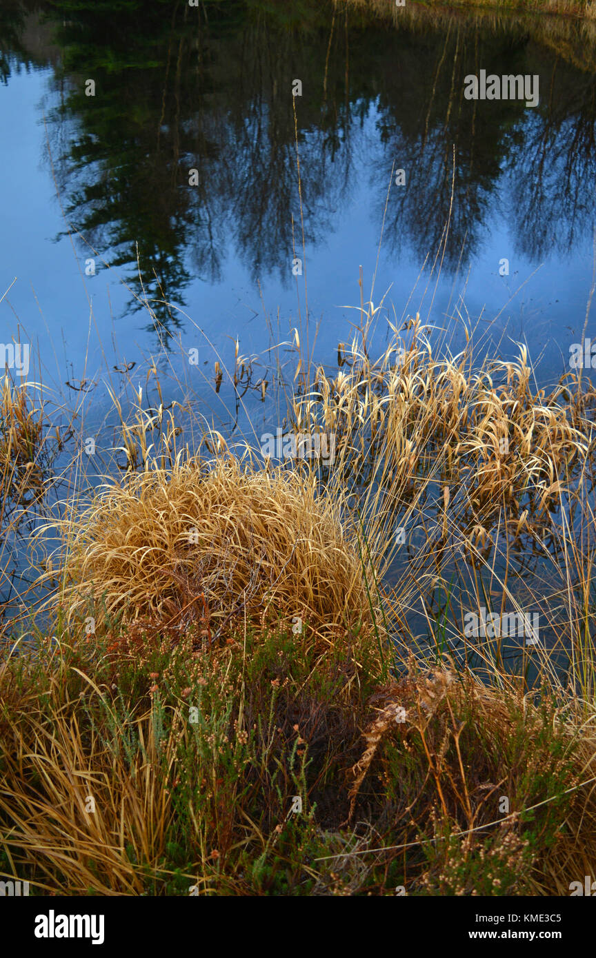 Llyn Elsi Betws Y Coed Stock Photo - Alamy