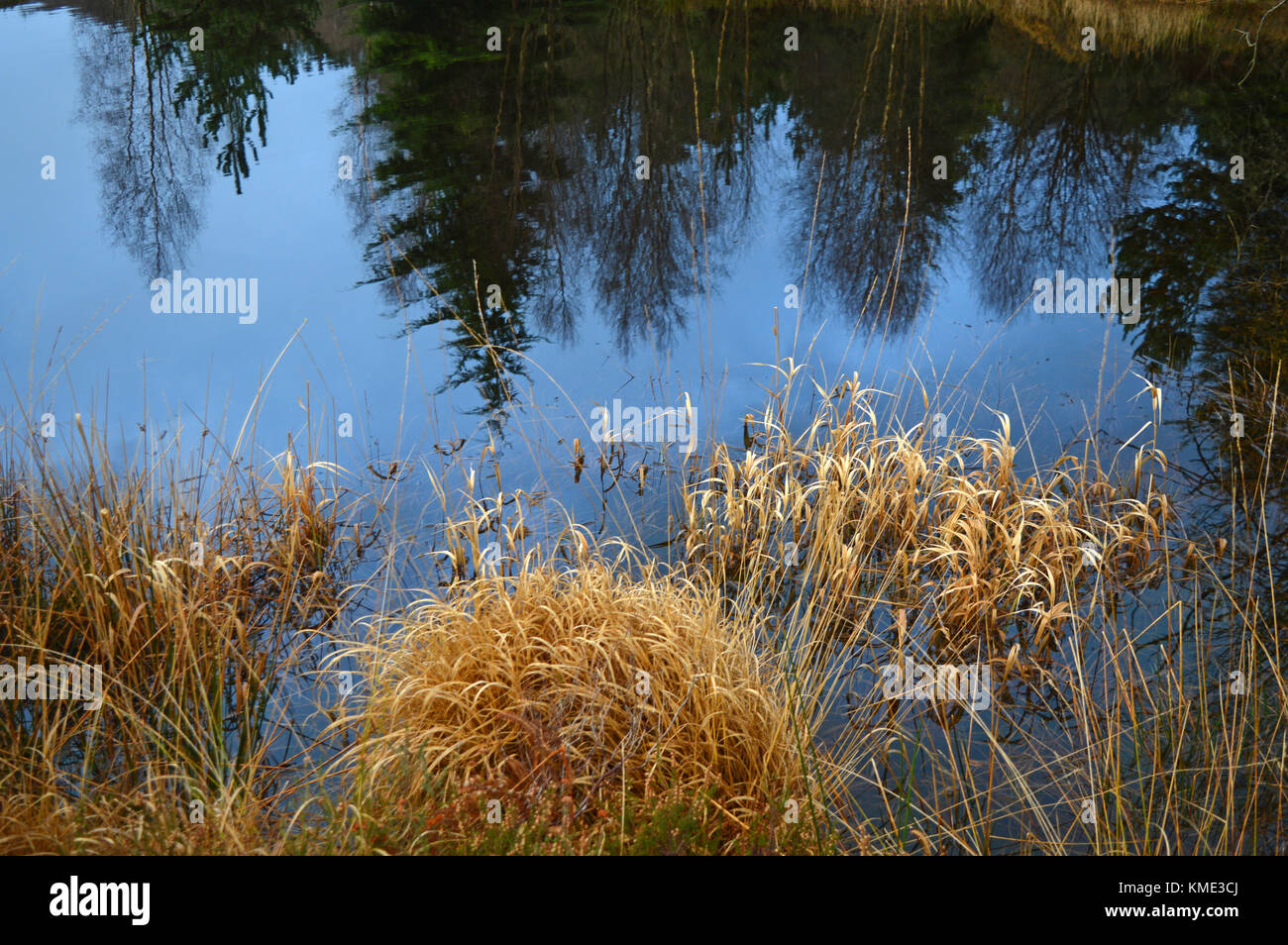 Llyn Elsi Betws Y Coed Stock Photo - Alamy