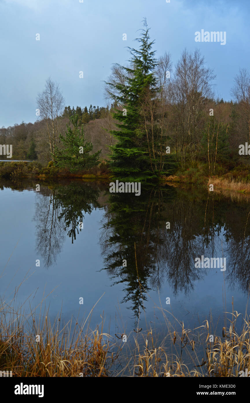 Llyn Elsi Betws Y Coed Stock Photo - Alamy