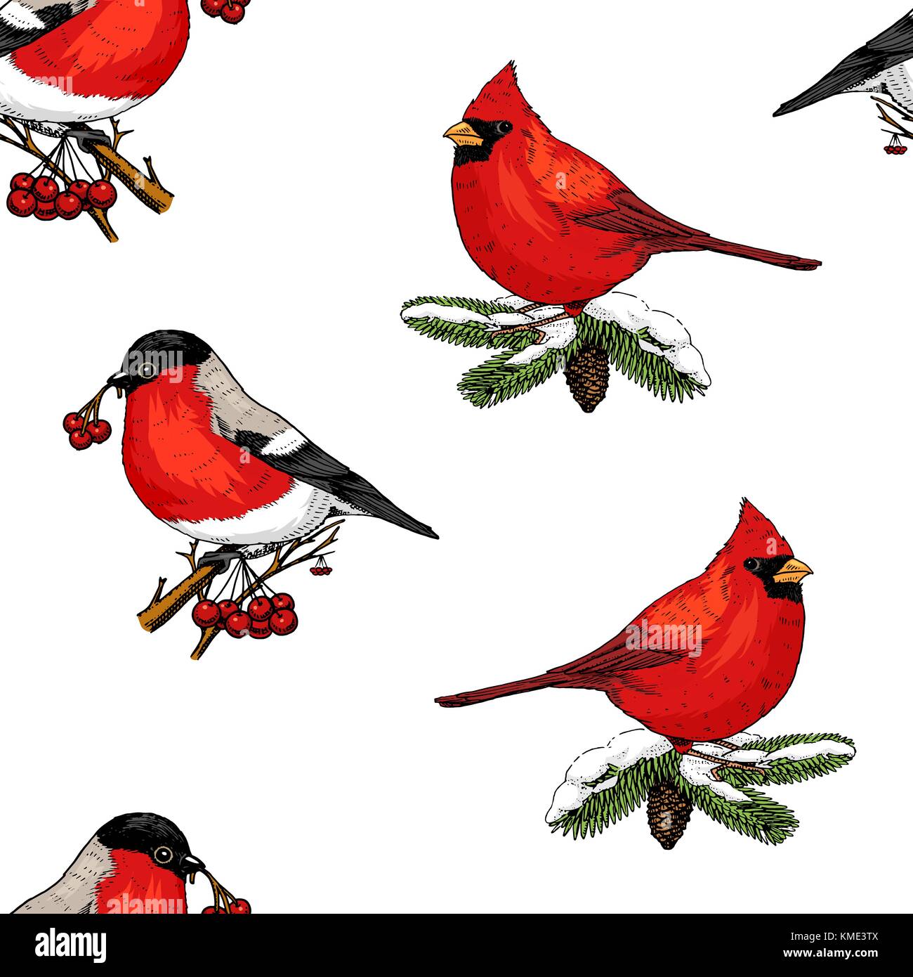 Vintage Christmas Bird Clip Art