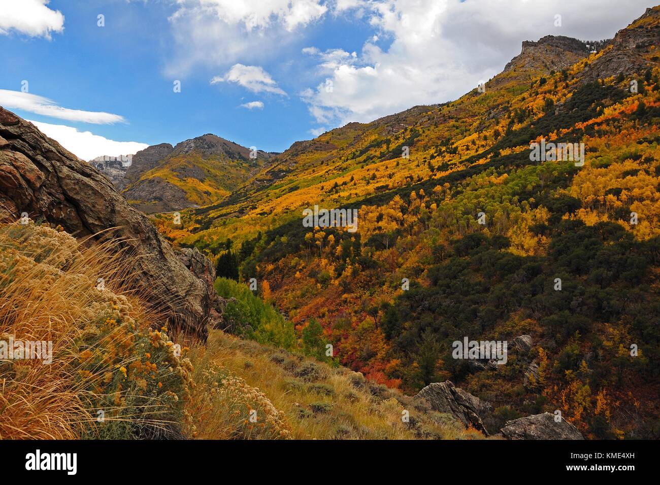 Humboldt toiyabe national forest hi-res stock photography and images ...
