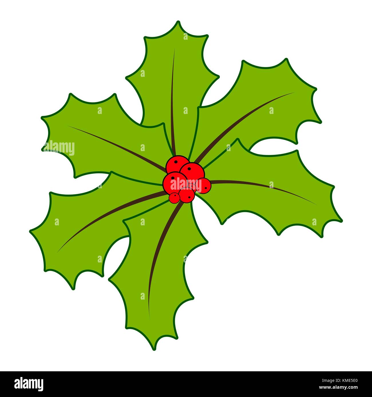 White holly ilex aquifolium Stock Vector Images - Alamy