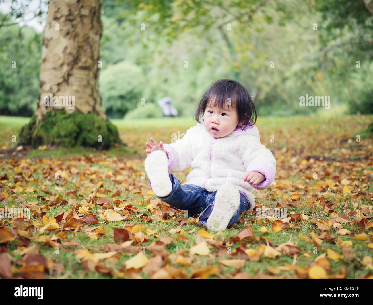 Baby girl playing at Autumn outdoor park Stock Photo - Alamy