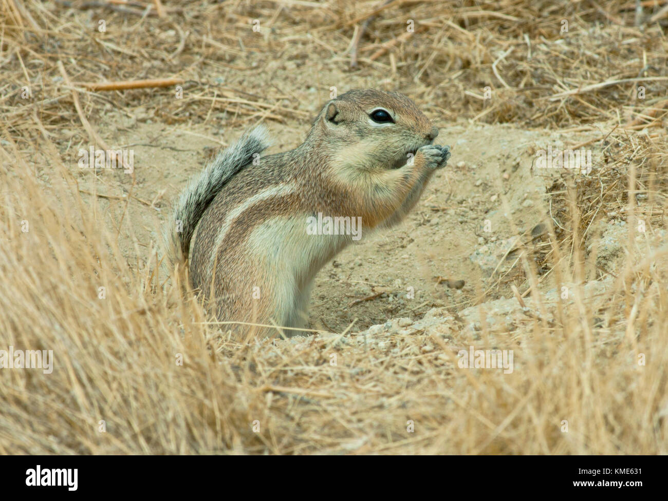Endangered monument hi-res stock photography and images - Alamy