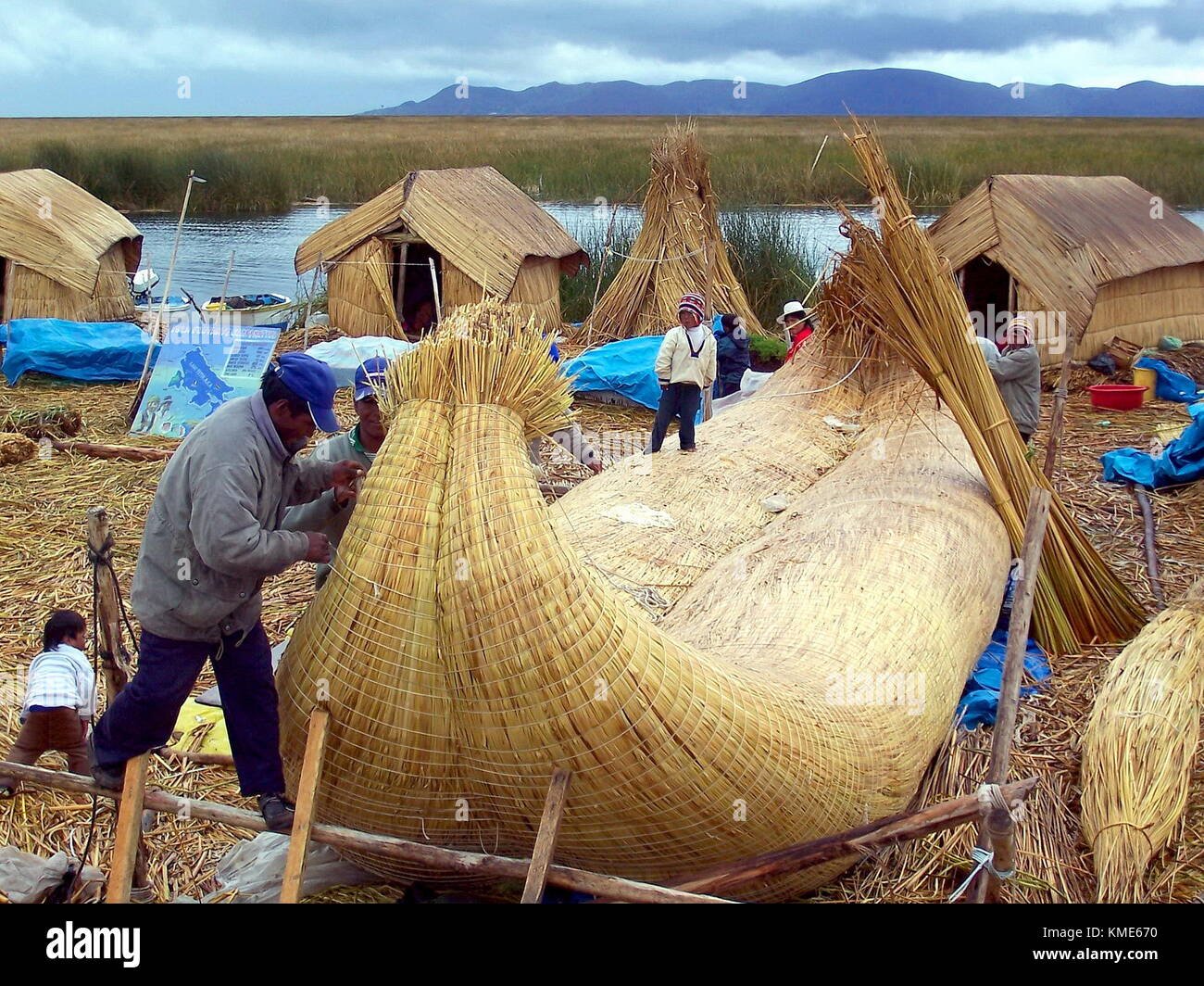 Uros men construct a totora reed boat on a floating reed island on ...