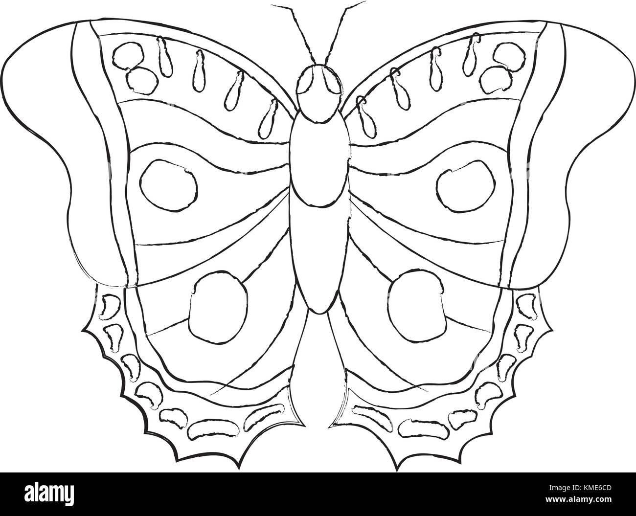 top view of beautiful monarch butterfly Stock Vector Image & Art - Alamy