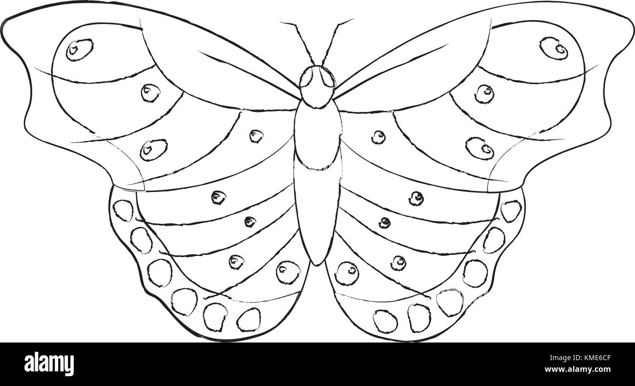 Monarch butterfly top view Stock Vector Images - Alamy