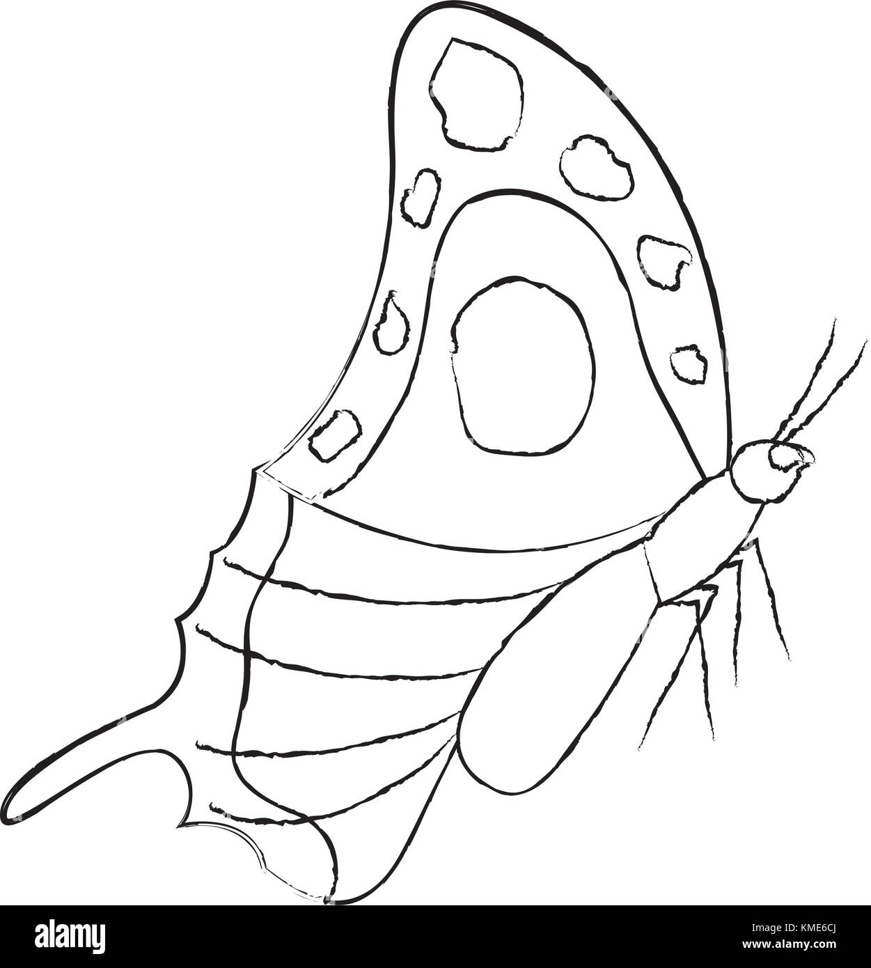 Side View Butterfly Drawing