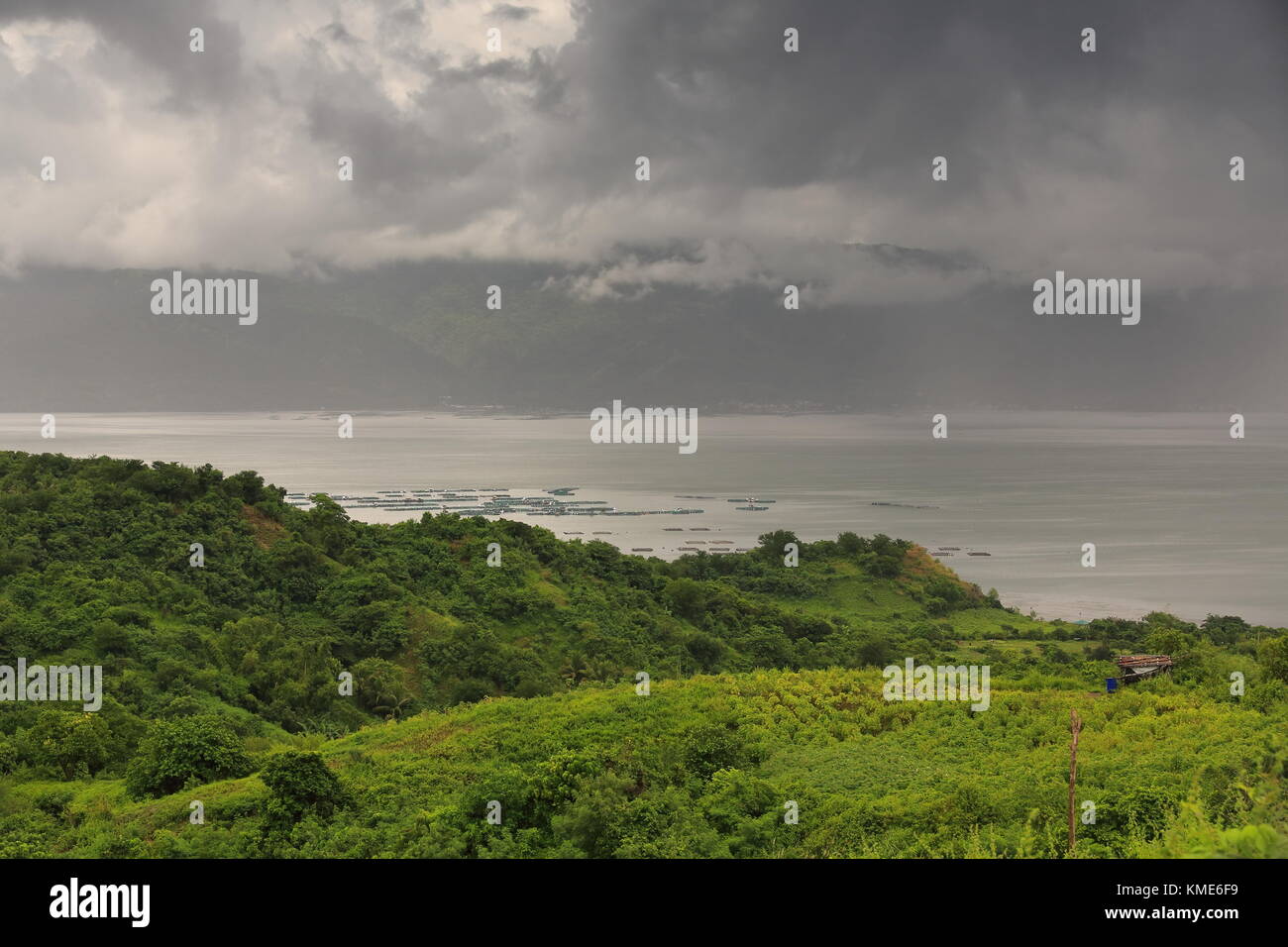 Lake taal snake hi-res stock photography and images - Alamy