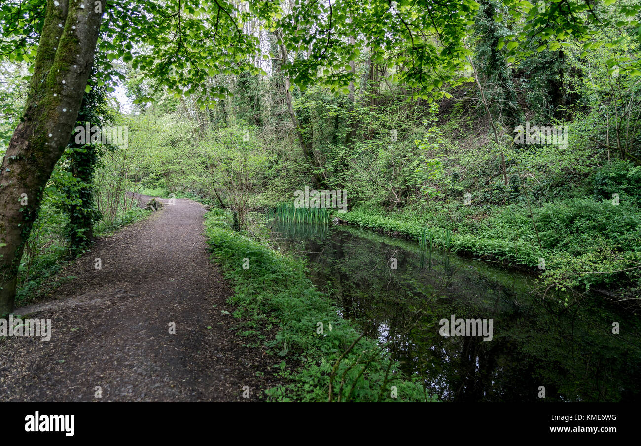 Towpath along the disused Severn and Thames Canal near to Chalford ...