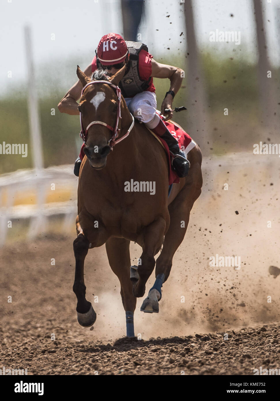 Horse racing at sunset at Hippodrome of Hermosillo, Sonora Mexico ...