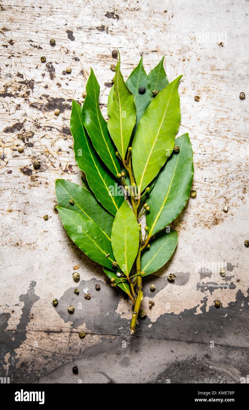 Branch of Bay leaf and pepper. On the rustic background. Top view Stock ...