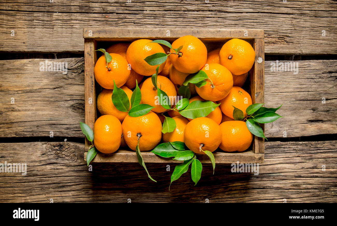 Fresh tangerines in an old box with leaves. On wooden background. Top ...