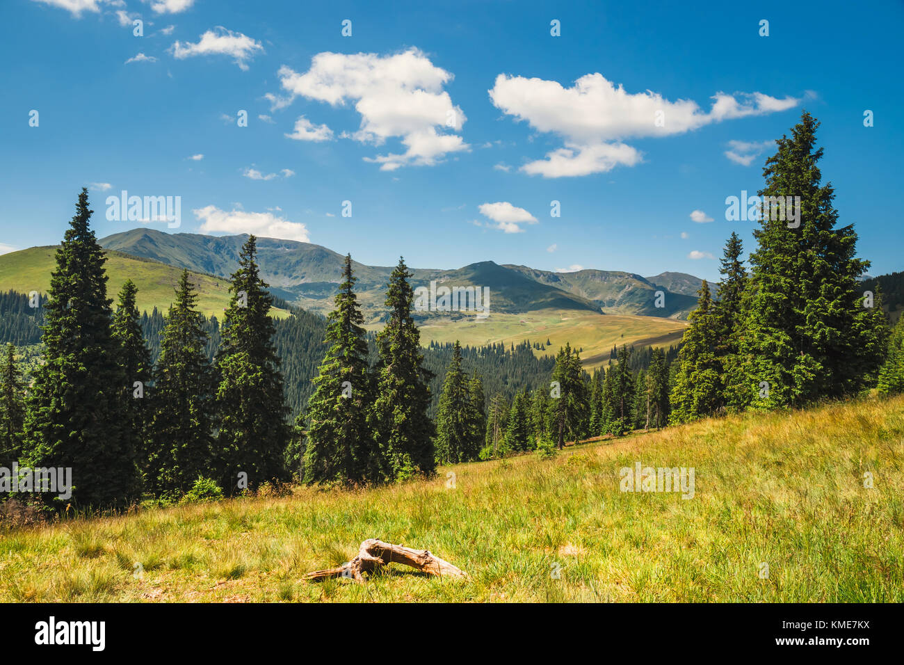 Beautiful summer Landscapes of Rodna Mountains in eastern carpathians ...