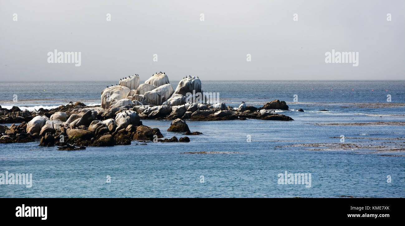 Stones at the Pacific ocean Stock Photo - Alamy