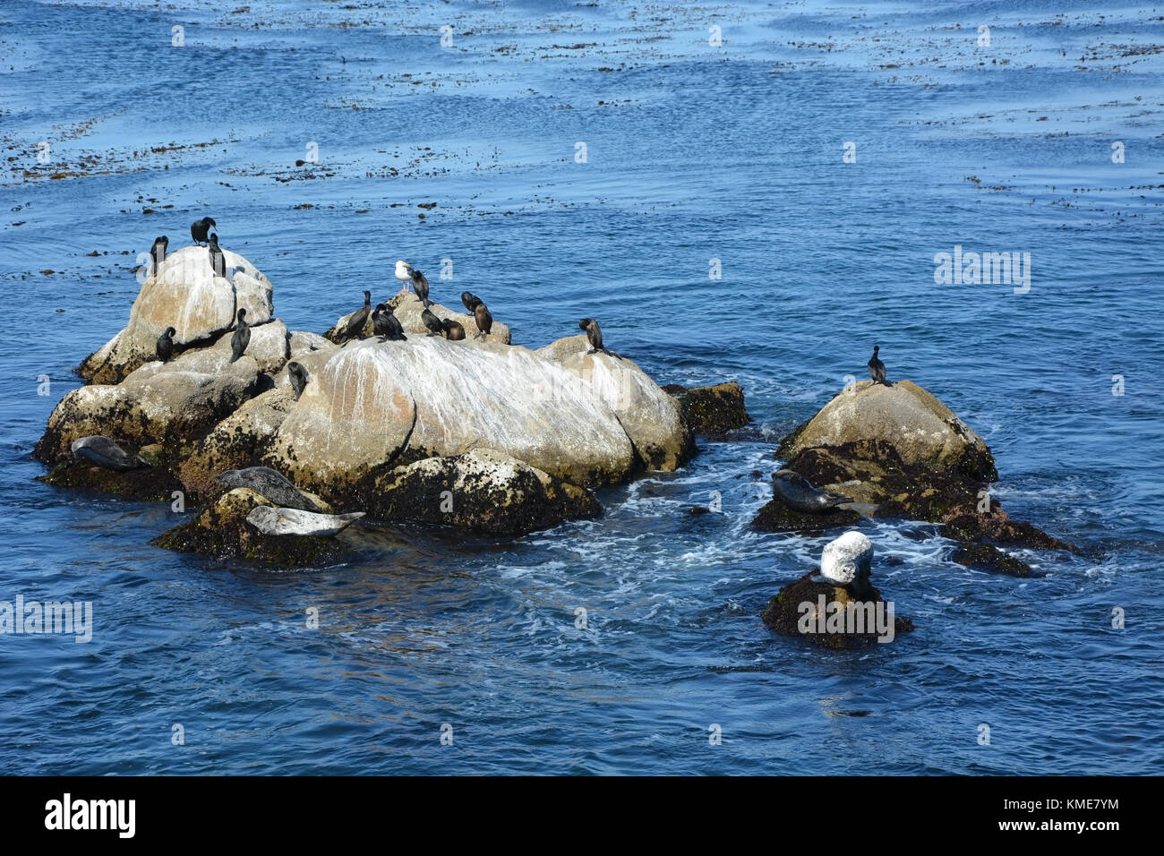 Stones at the Pacific ocean Stock Photo - Alamy
