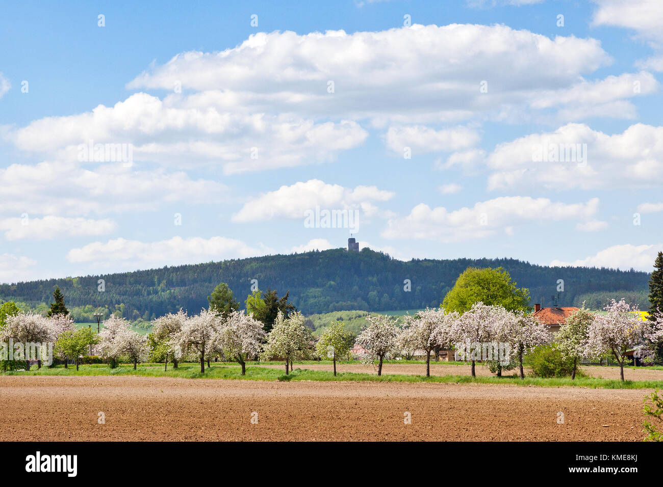 hrad Radyne, obec Stahlavy, Plzensky kraj, Ceska republika / ruins of ...