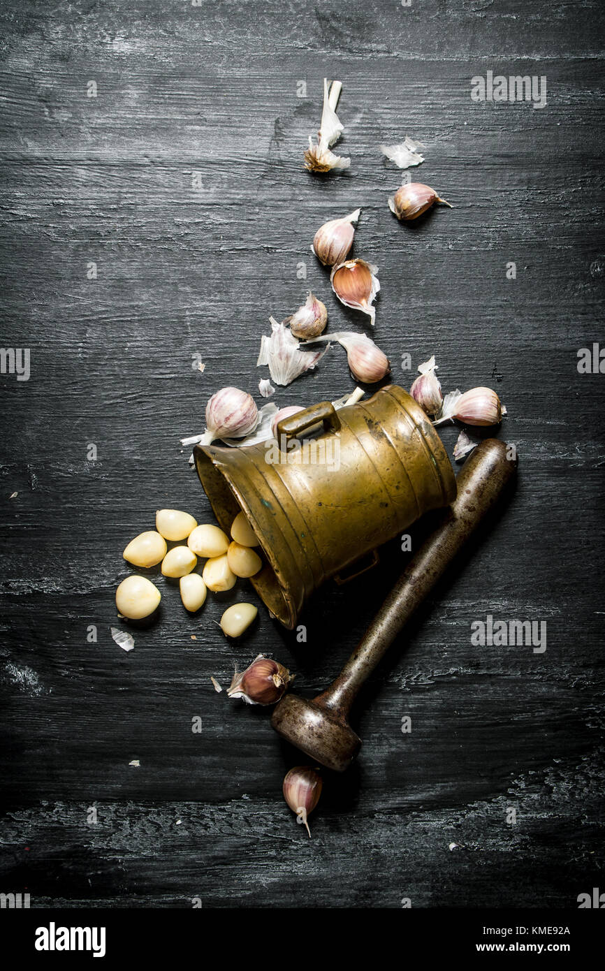 Garlic background. Fresh garlic and a mortar with pestle. On a black ...