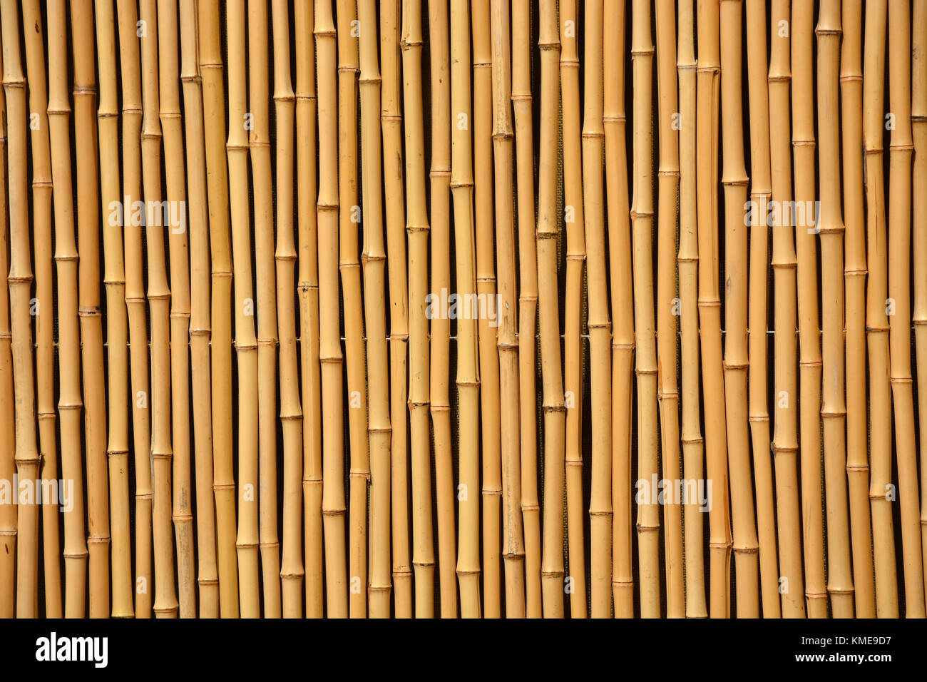 Bamboo fence as a background Stock Photo - Alamy