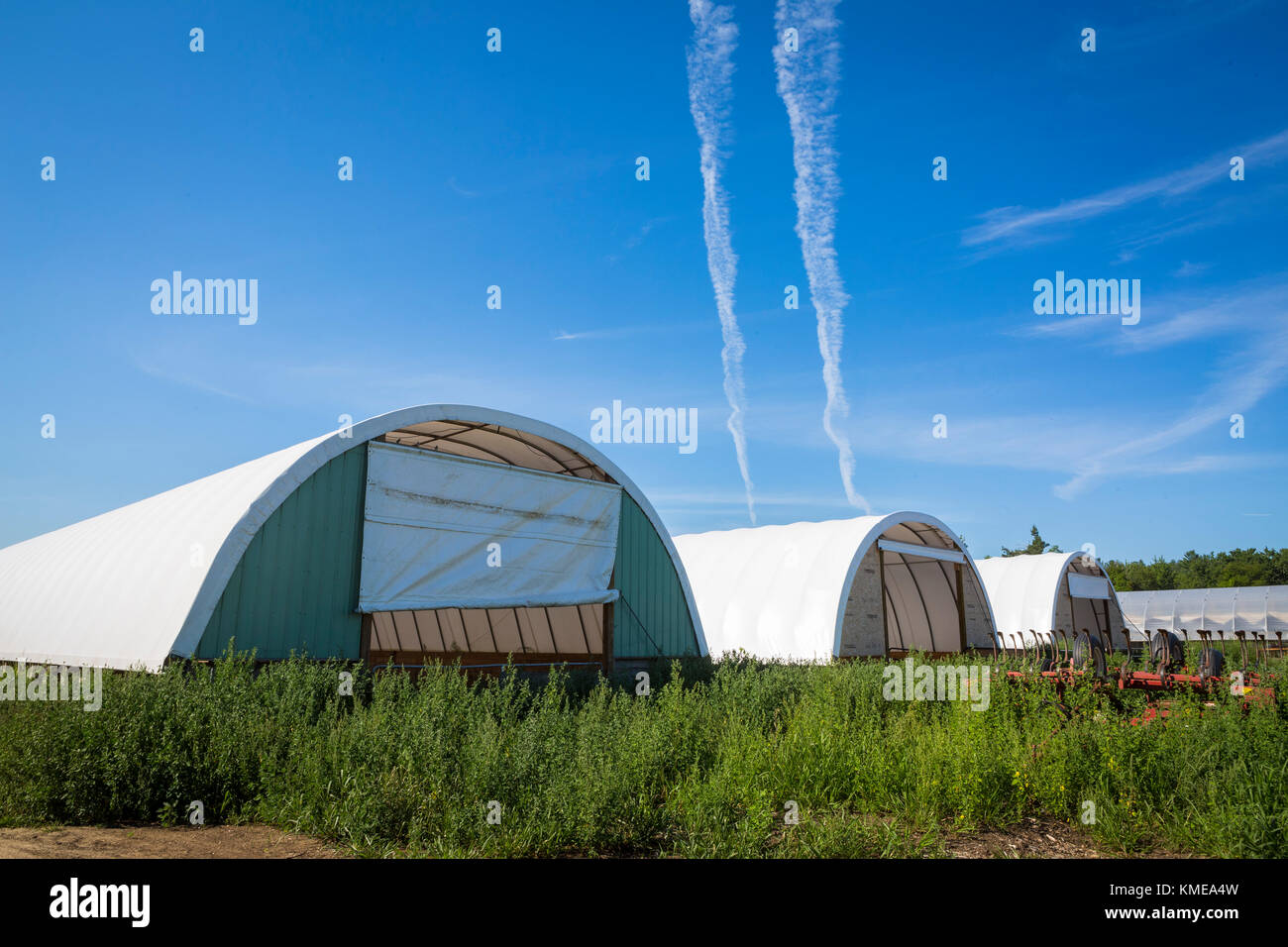 Hoop barns at Brookford Farm will serve as winter shelter for their ...