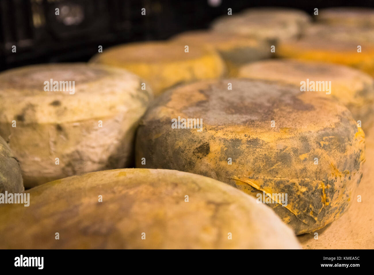 Cheddar cheese wheel hi-res stock photography and images - Alamy