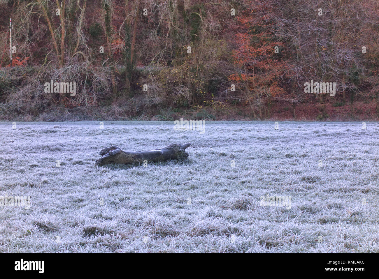 Autumn winter seasons hi-res stock photography and images - Alamy