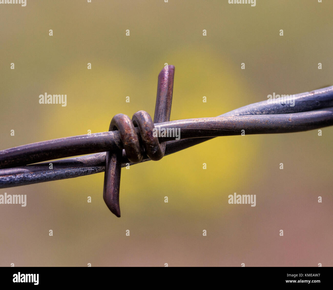 A Single Strand of Barbed Wire Fencing Stock Photo - Alamy