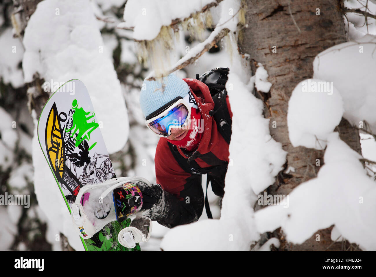 Snowboarder peering around a tree at Mica Creek Heli,British Columbia ...