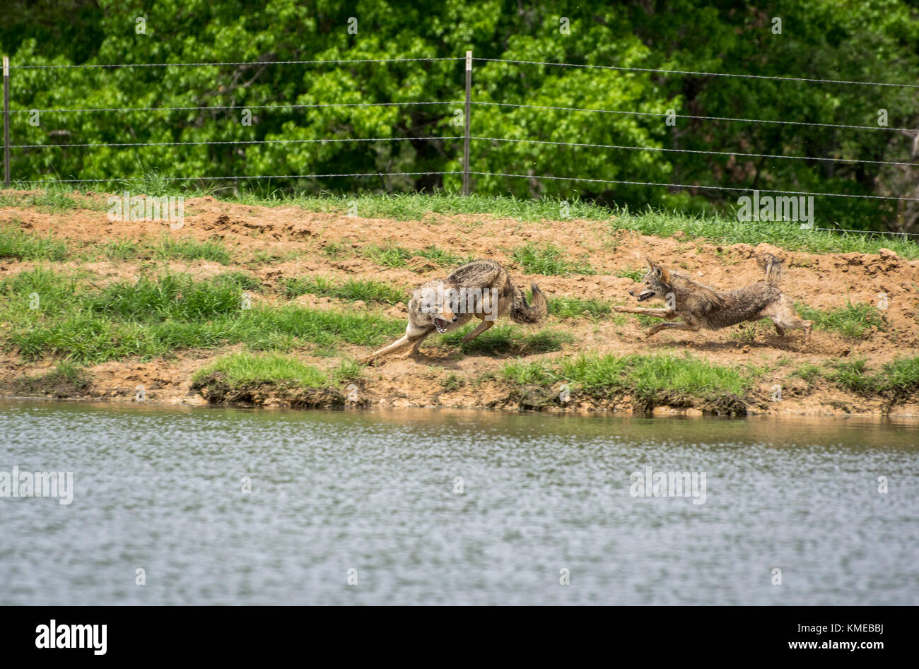 East texas hi-res stock photography and images - Alamy