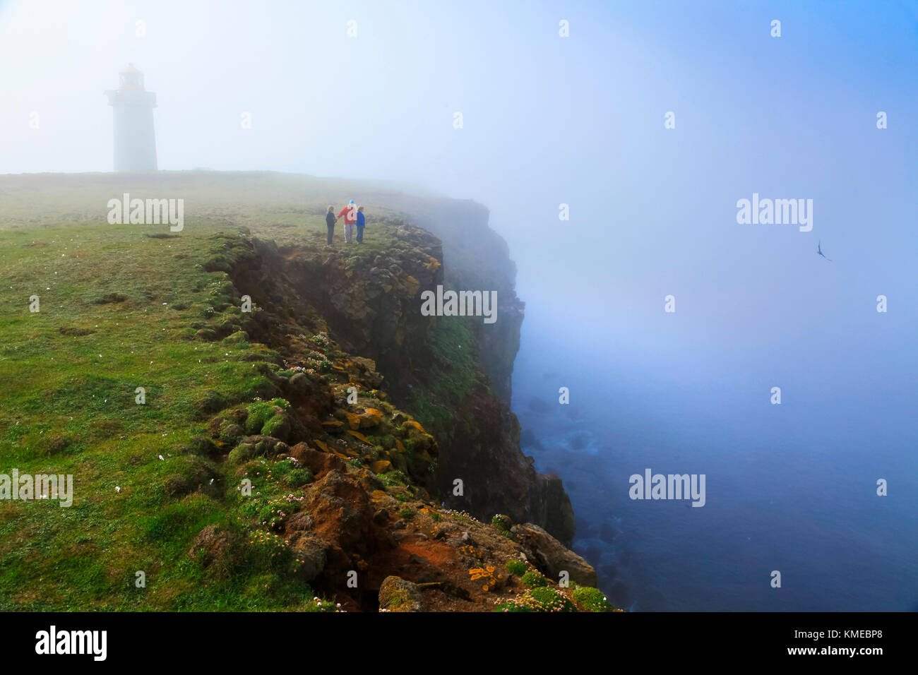 Family visiting Langanes peninsula and lighthouse during foggy weather ...